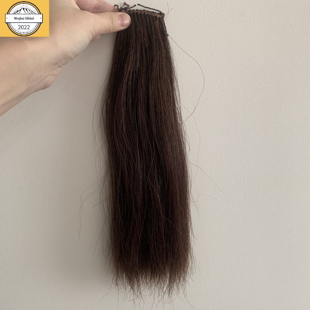 Horse tail extension